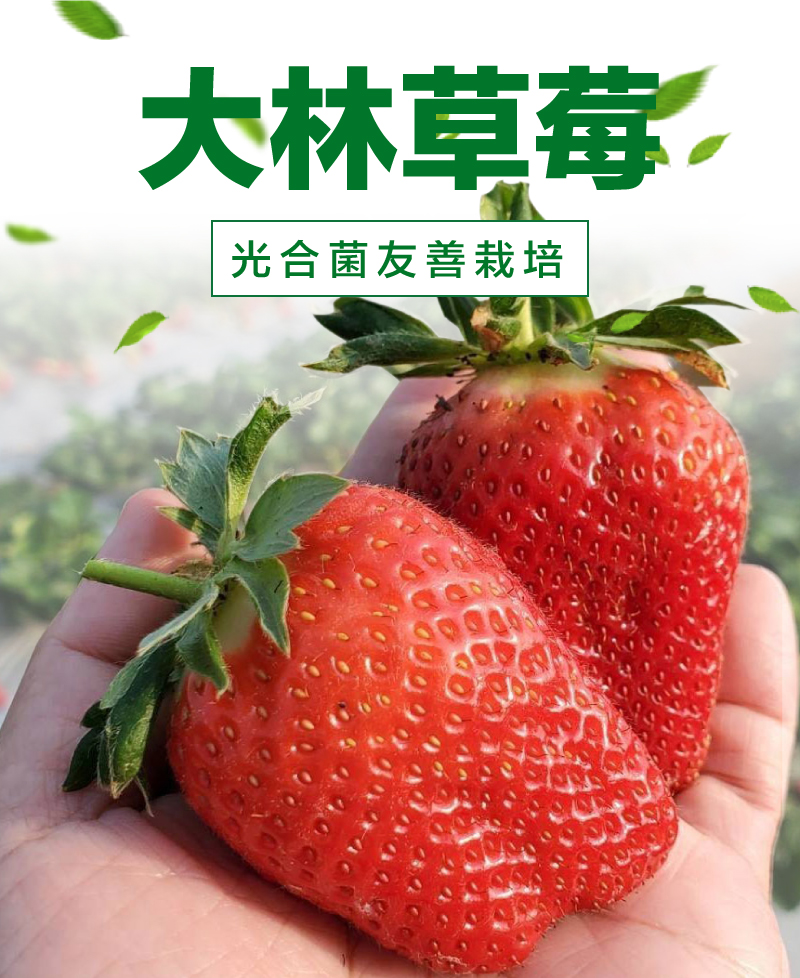 Ainonix艾洛怩思-線上購物｜隨需即得，少但更好