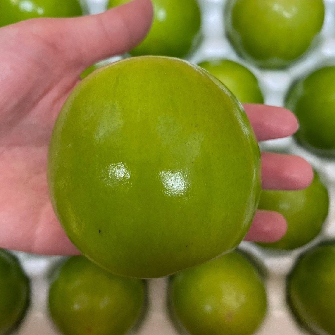 Ainonix艾洛怩思-線上購物｜隨需即得，少但更好