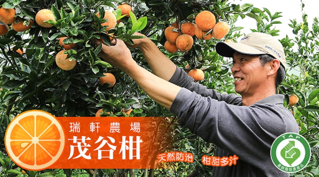 Ainonix艾洛怩思-線上購物｜隨需即得，少但更好