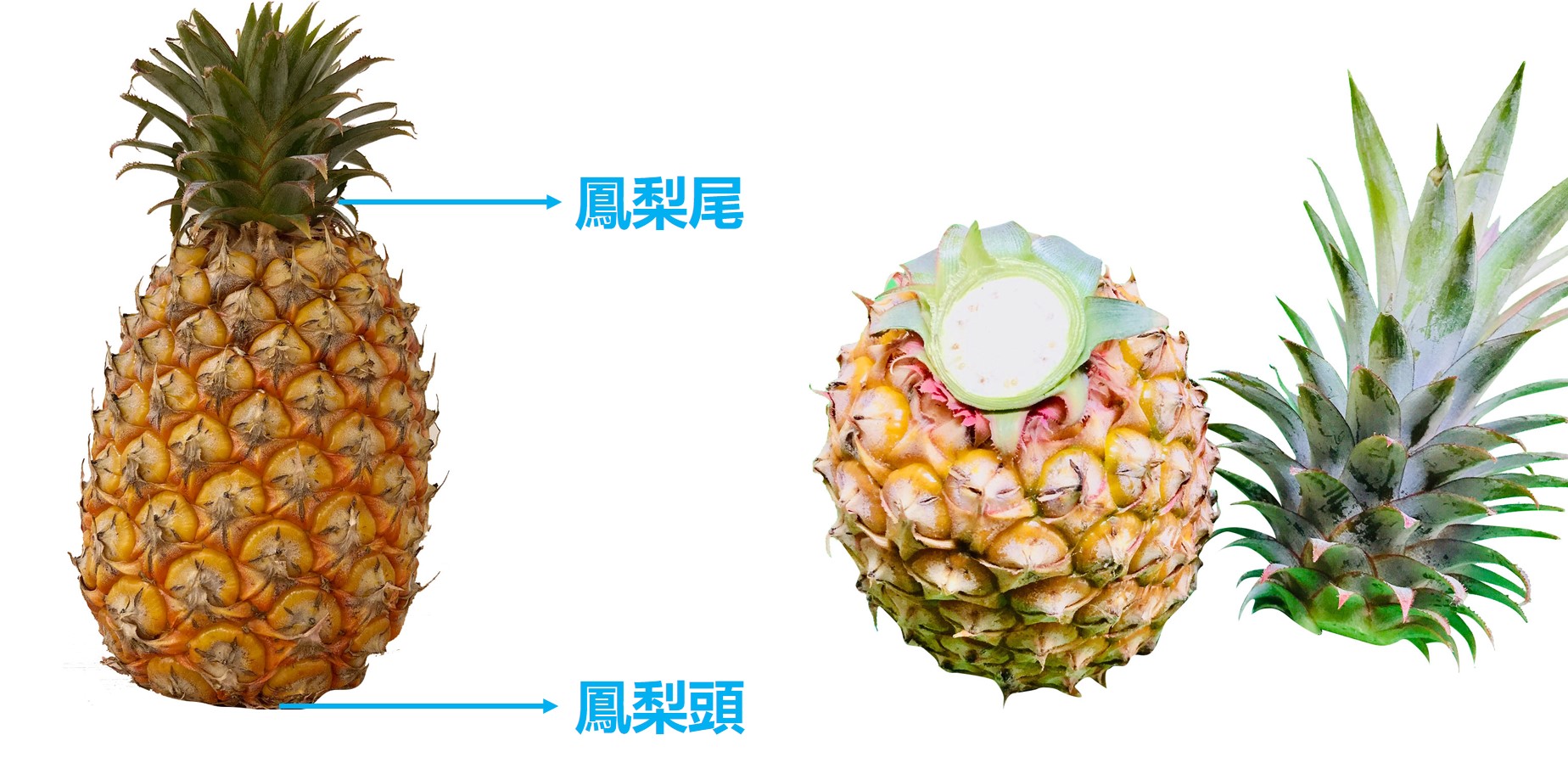 Ainonix艾洛怩思-線上購物｜隨需即得，少但更好