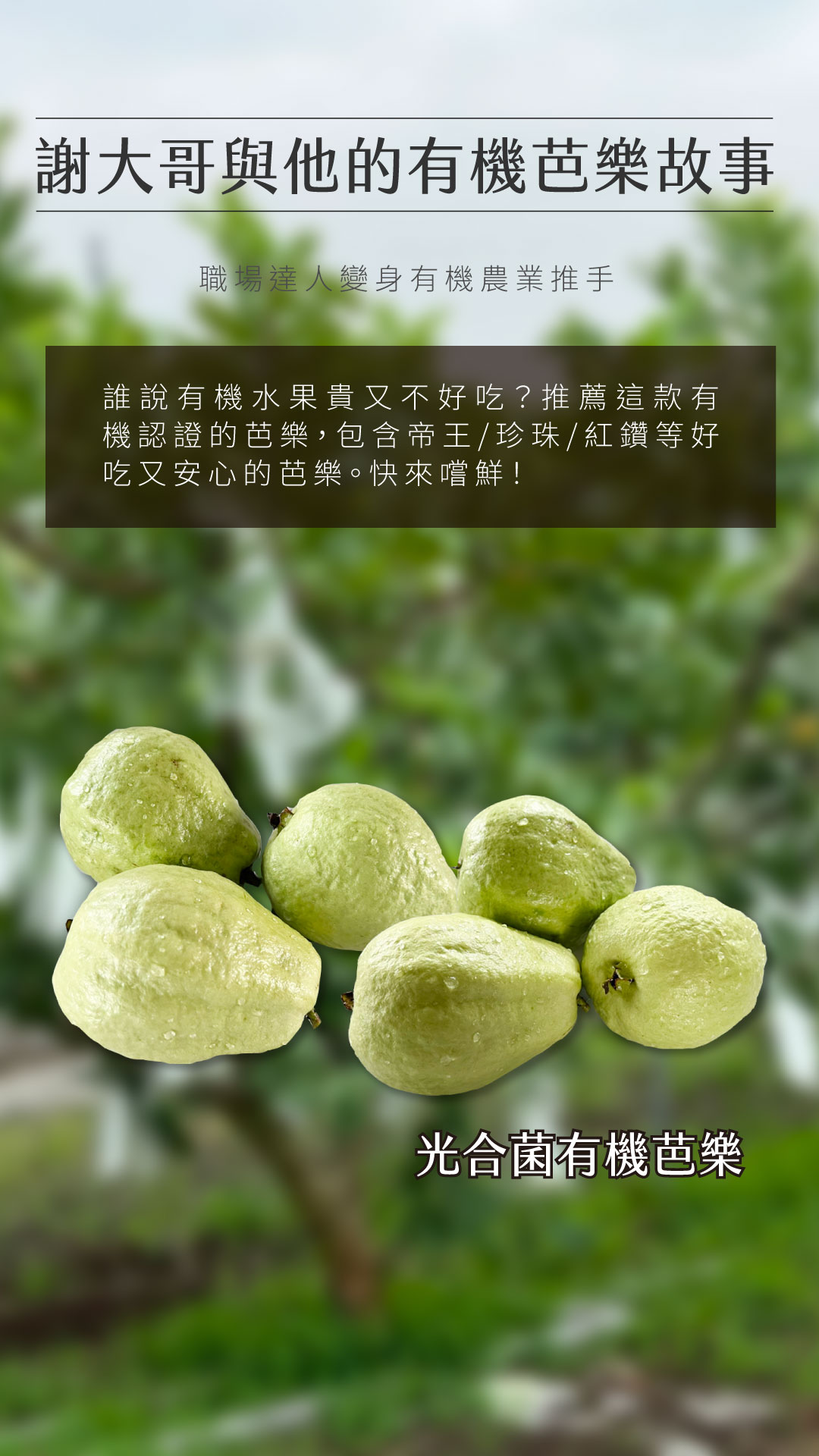 Ainonix艾洛怩思-線上購物｜隨需即得，少但更好