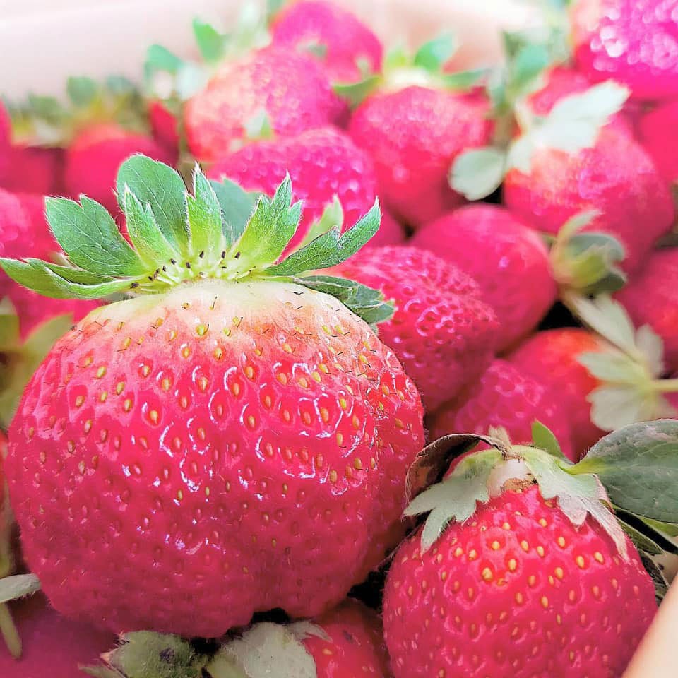 Ainonix艾洛怩思-線上購物｜隨需即得，少但更好