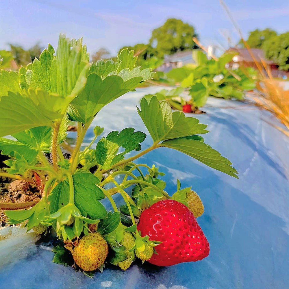 Ainonix艾洛怩思-線上購物｜隨需即得，少但更好