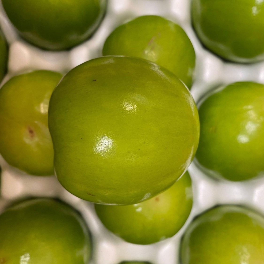 Ainonix艾洛怩思-線上購物｜隨需即得，少但更好