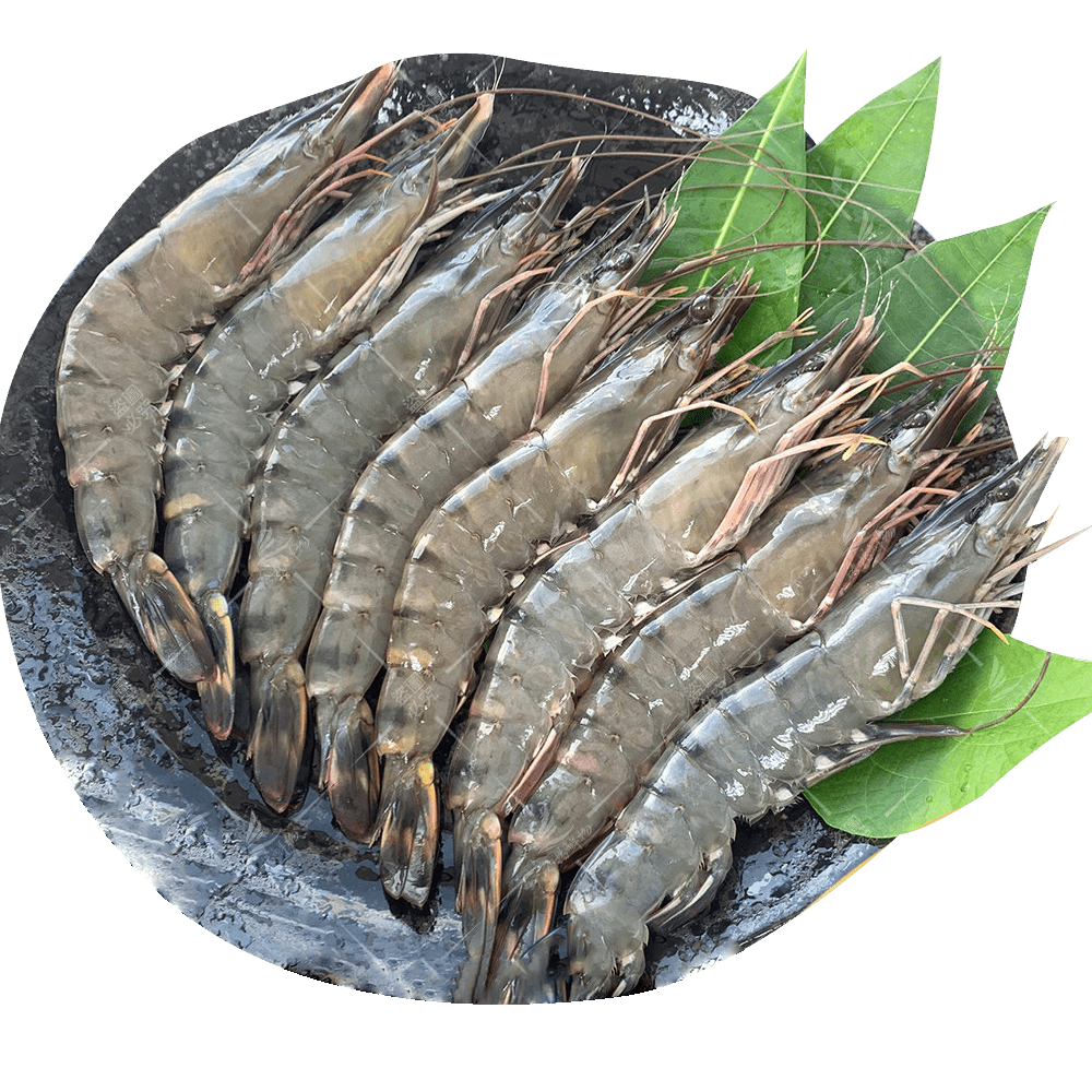 Ainonix艾洛怩思-線上購物｜隨需即得，少但更好