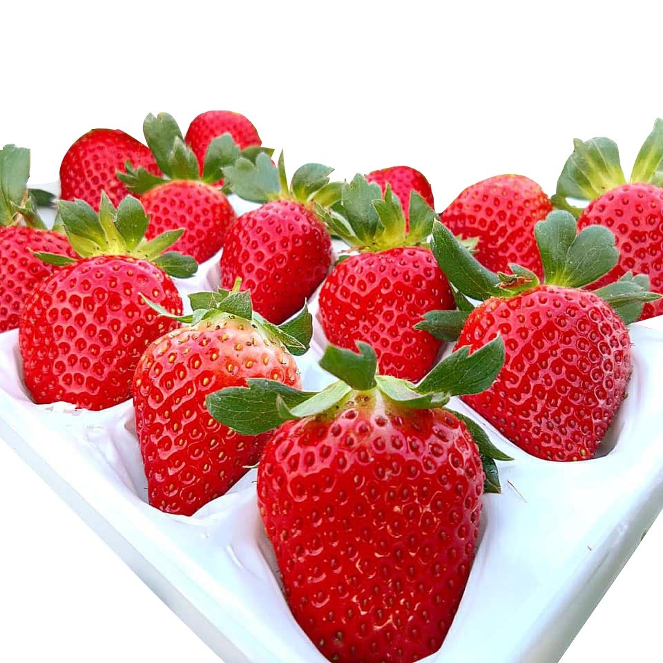 Ainonix艾洛怩思-線上購物｜隨需即得，少但更好